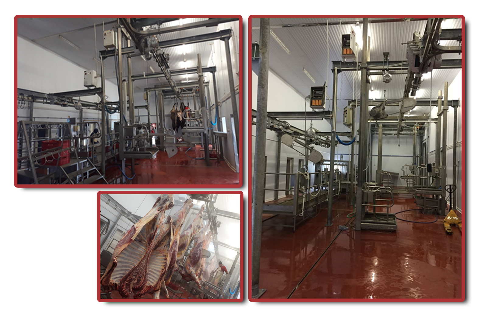 Agroline Bucovina | Abattoir jud. Suceava